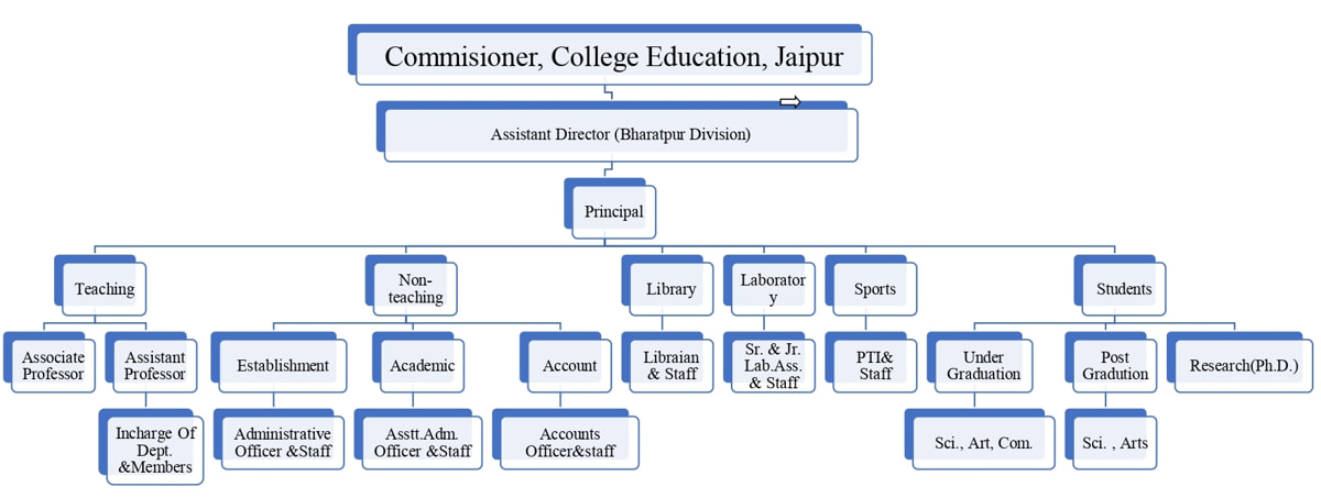 Organogram – Government College Hindaun City, District Karauli